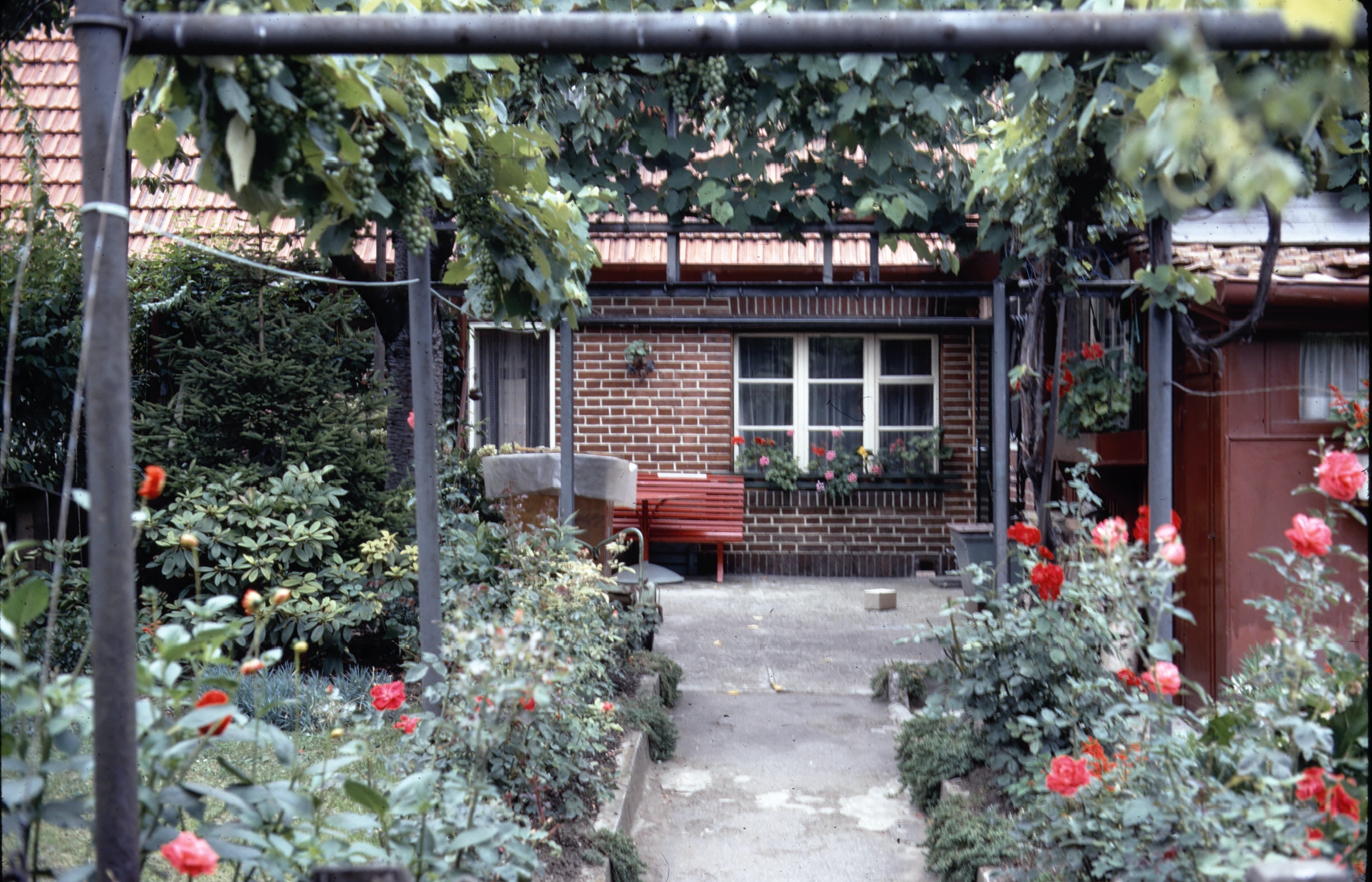 Basel Vogelsang August 1972